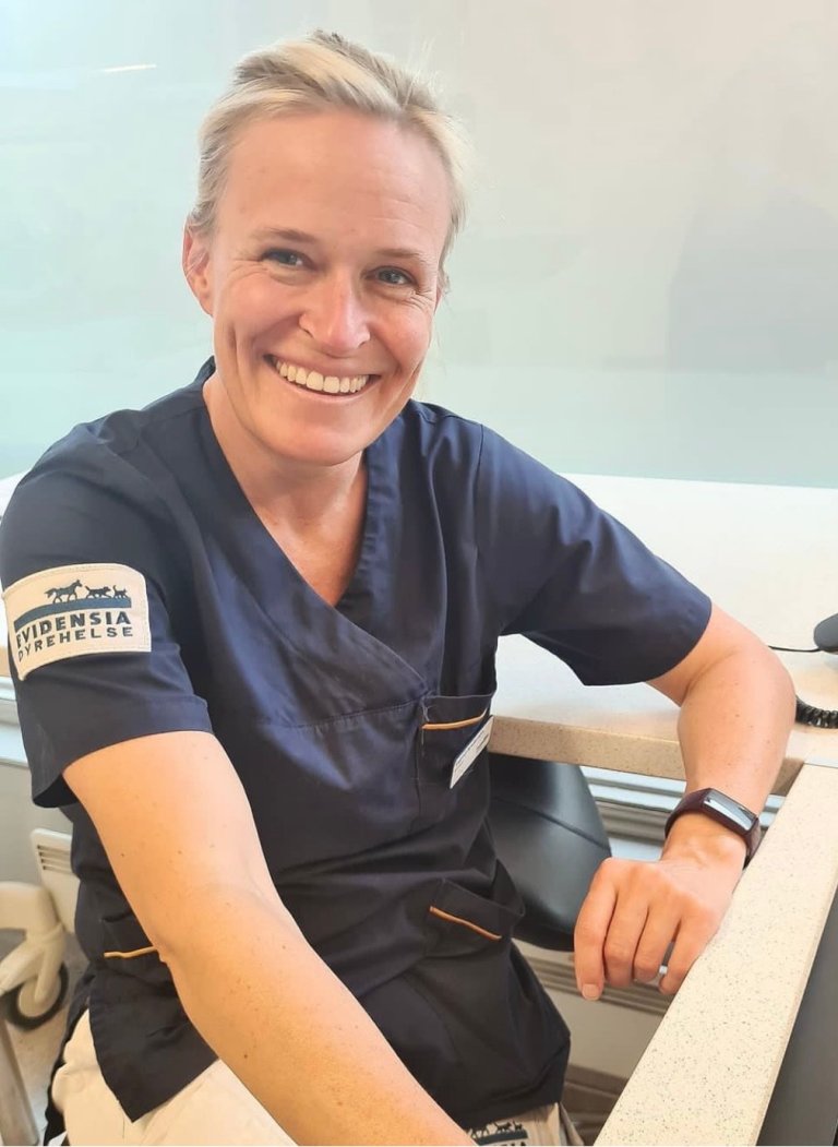 FØRSTEHJELP PÅ HUND – Er vi godt nok forberedt? - Solemskogen JFF